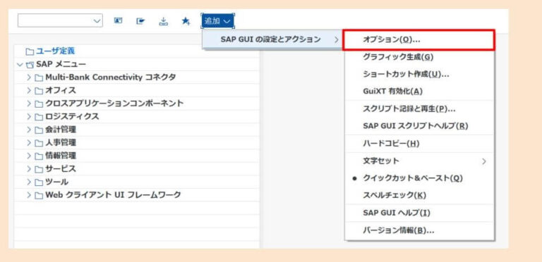 【SAP小ワザ】オススメのGUI設定まとめ | SAPラボ