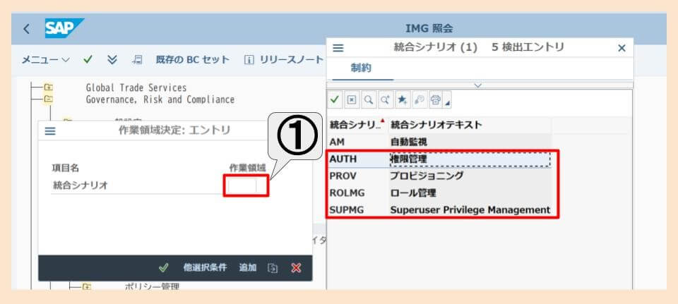 【SAP GRC】 Access Controlカスタマイズ方法 | SAPラボ