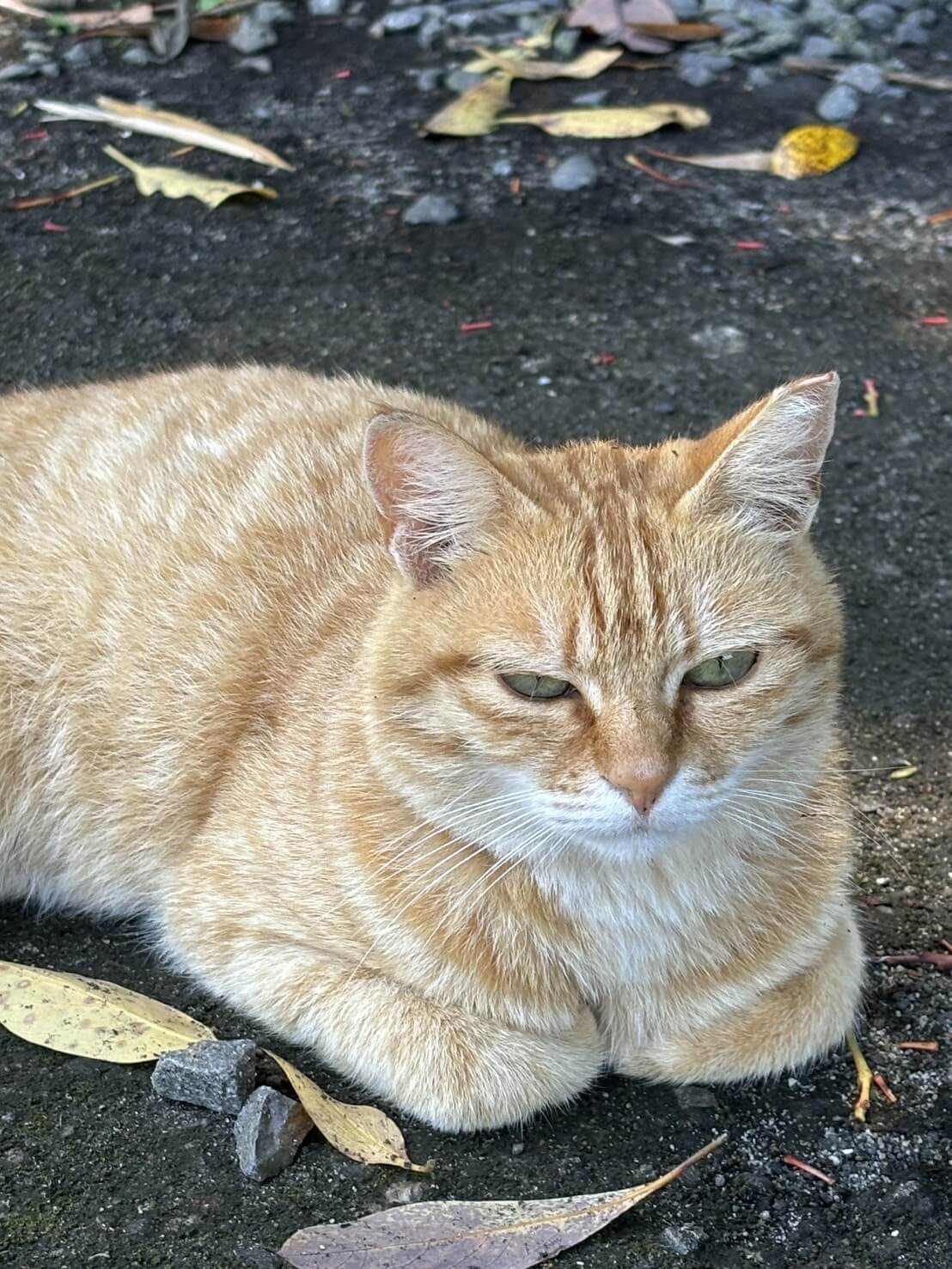 【SAP不具合調査】ショートダンプの調査方法（ST22）について解説！ | SAPラボ